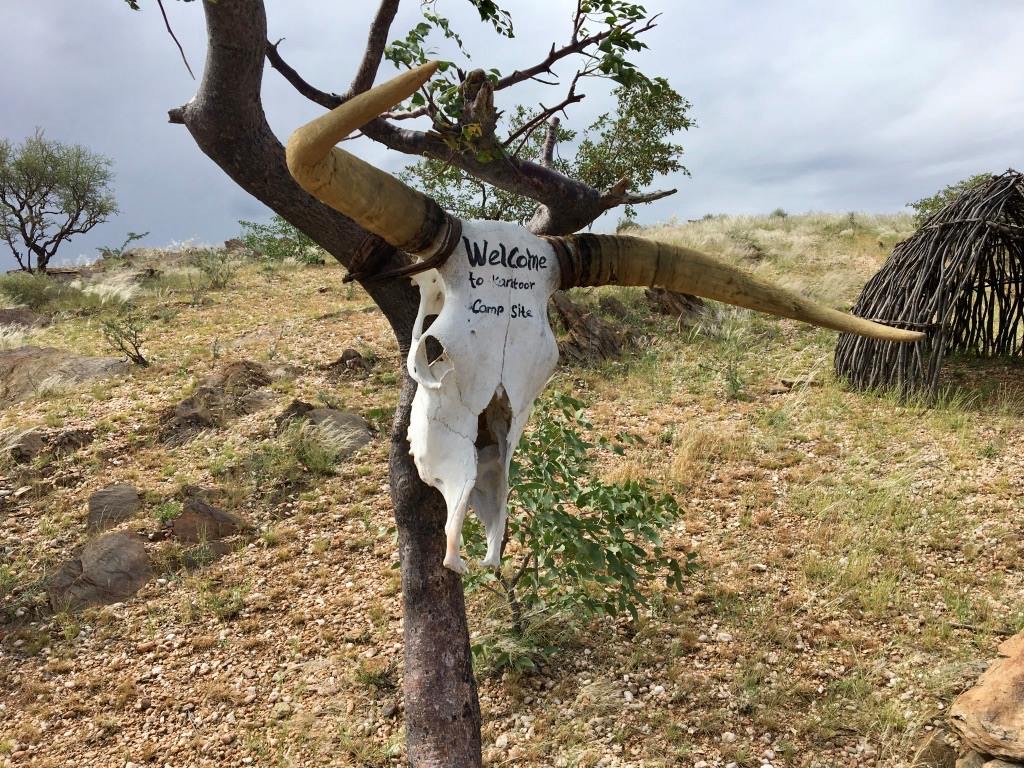 WILDWOOD: PLACES WE LOVE - Van Zyl's Pass, Kaokoland Namibia – Wild Wood
